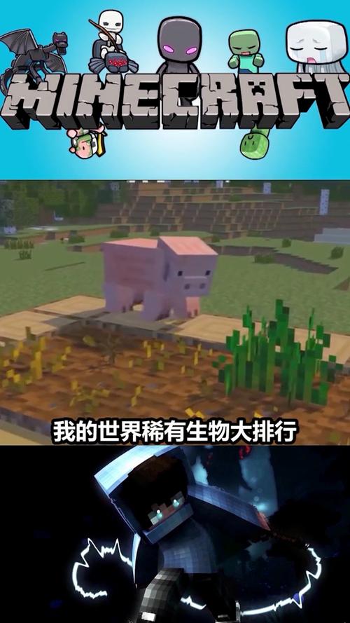 我的世界稀有生物排名