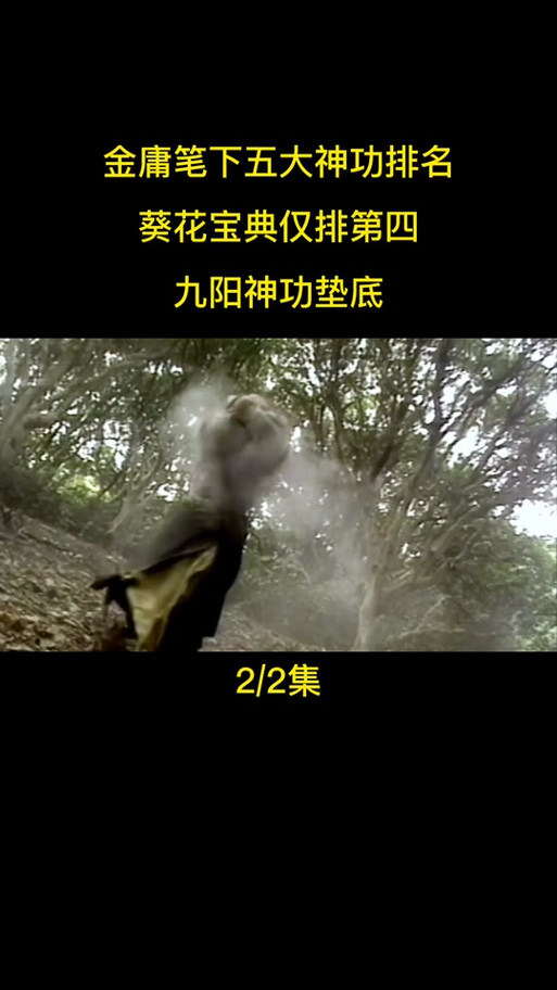 九阴真经 九阳神功图标