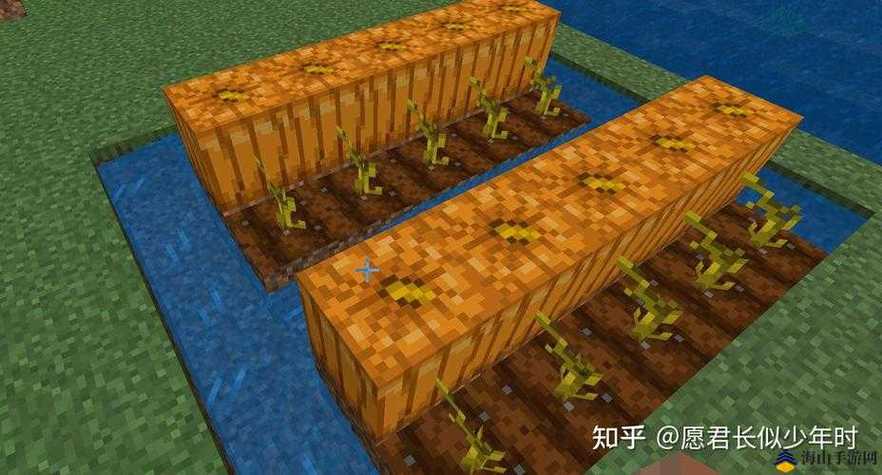 我的世界怎么种南瓜图标