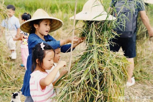 乡村小农民图标