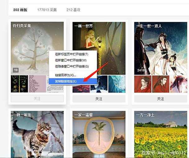 花瓣网采集的素材怎么下载图标