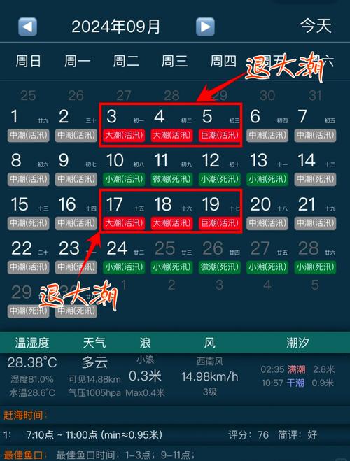 海洋财宝的代码是什么图标