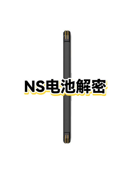 ns能换电池吗图标