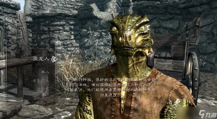 上古卷轴5新手种族选择