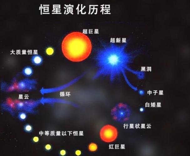恒星代码图标