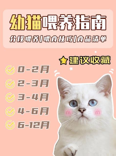猫咪饮食禁忌图标