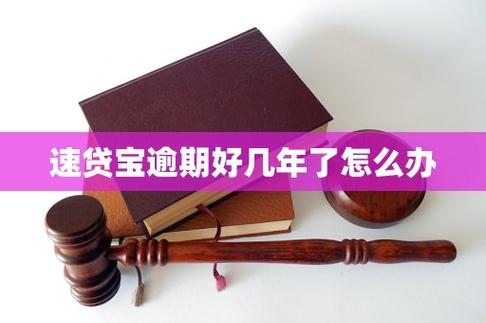 速贷小额贷款看征信吗图标