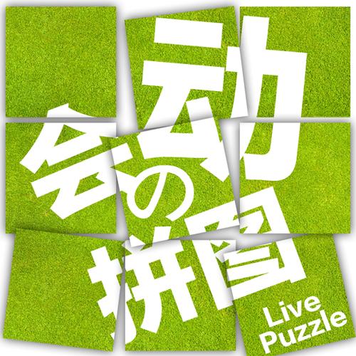pika AI官网视频生成截图