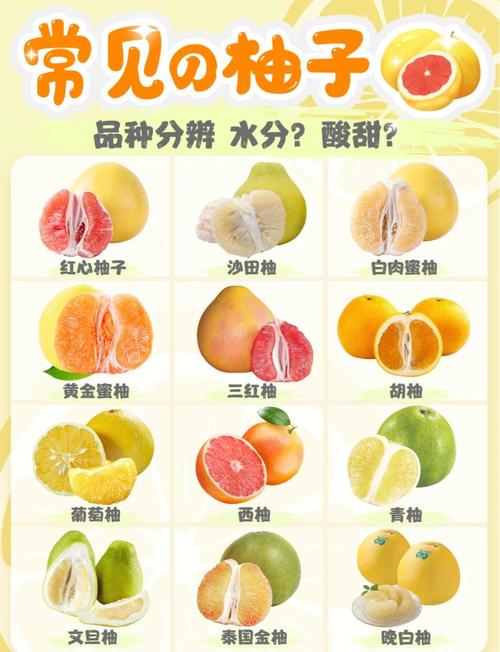 柚子有哪些品种图标