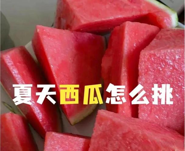 西瓜赚钱软件图标