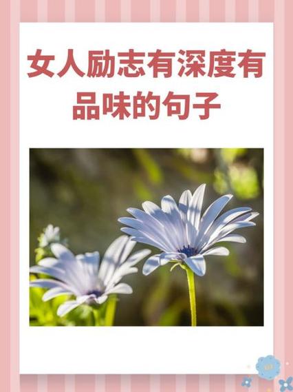 低调有深度的句子截图