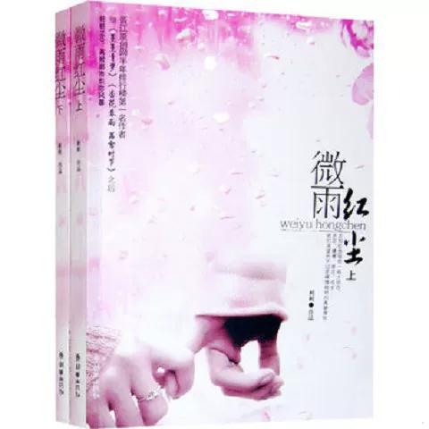 微雨红尘上截图