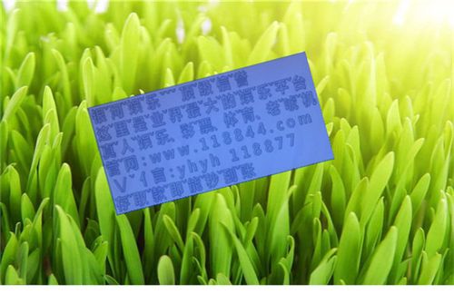 刷卡显示被窃卡图标