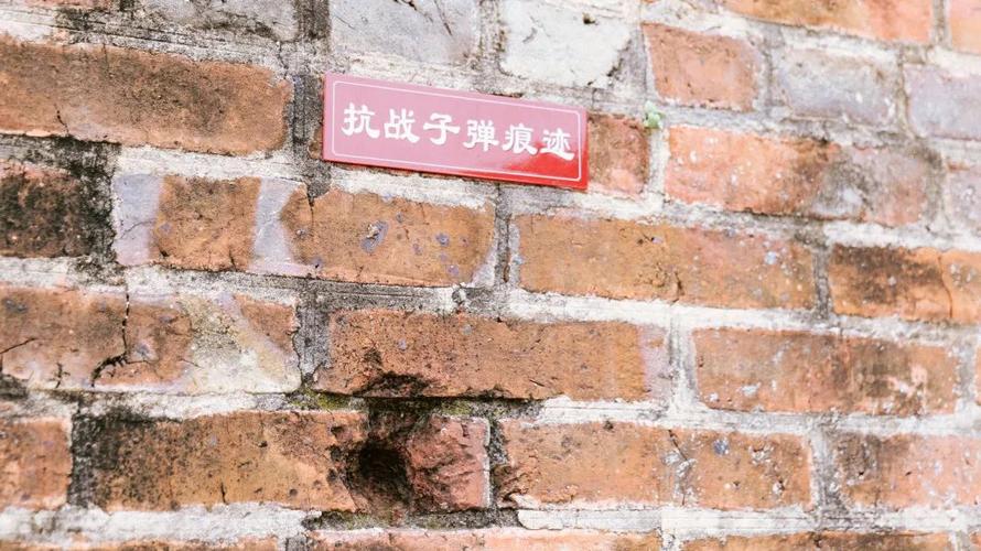 子弹的痕迹gb全文免费阅读图标