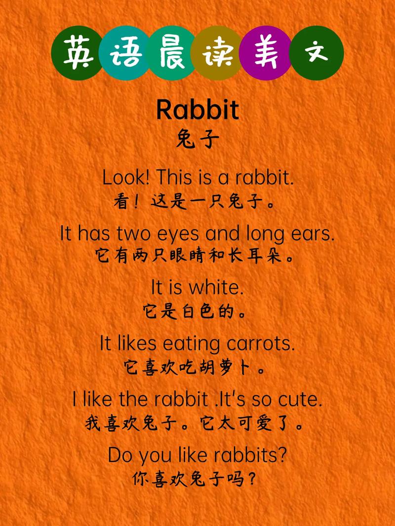 rabbits正确读音缩略图