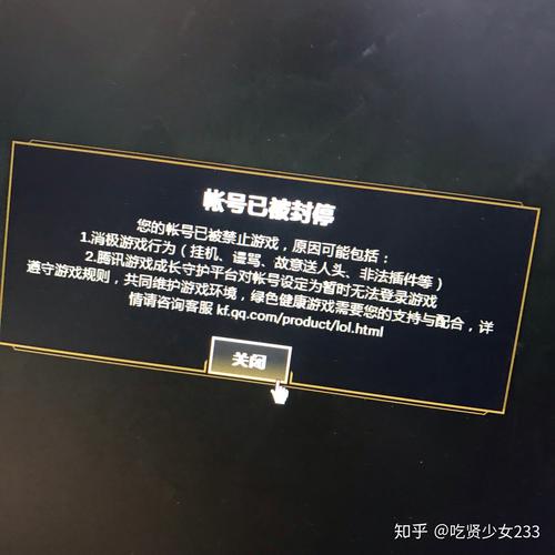 英雄联盟用皮肤软件封号多久图标