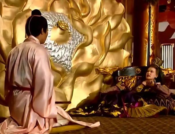美婢男宠结局截图