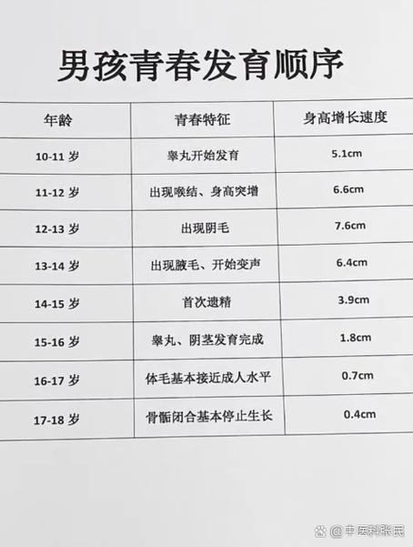 男生14岁发育程度图标