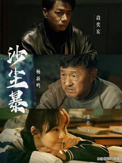 沙尘暴电视剧全集免费观看图标