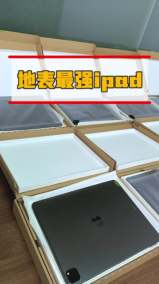 ipadpro第4代是哪年图标