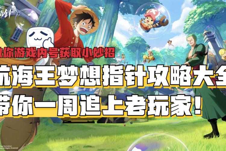 海贼王梦想指针是魔方工作室吗截图