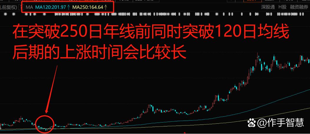 股票250日均线在哪看截图