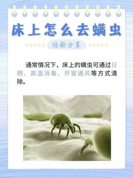 床上有螨虫怎么消除最快方法截图