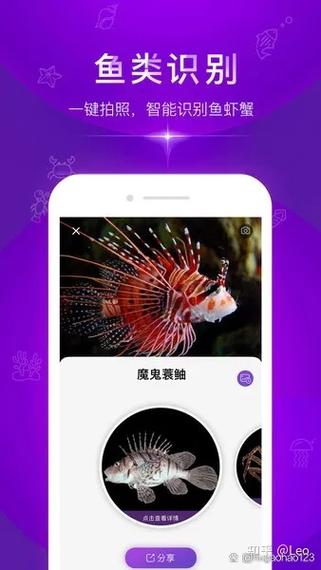 小鱼会议共享屏幕图标