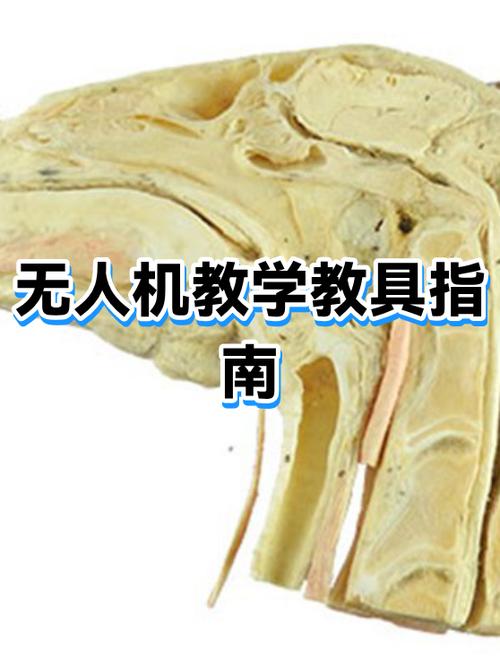 飞行器教学视频教程图标