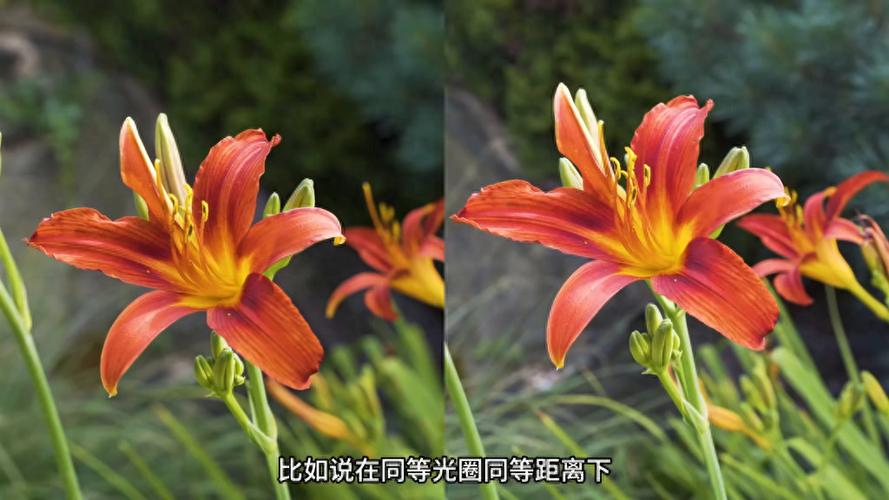虚化背景的方法截图
