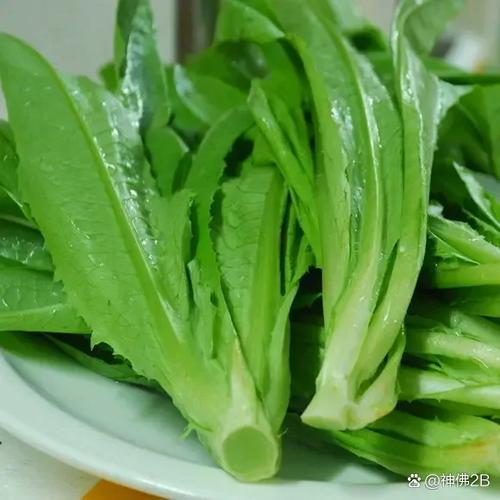 心脏最好的3种蔬菜图标
