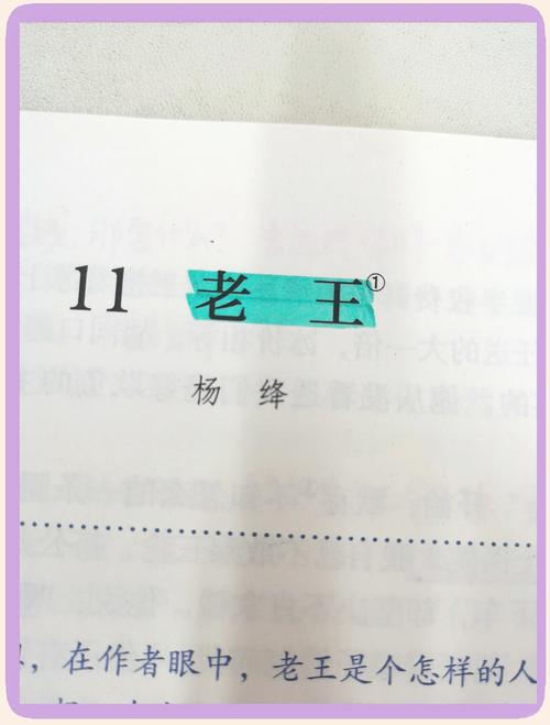 外教老王刘琴免费阅读小说图标