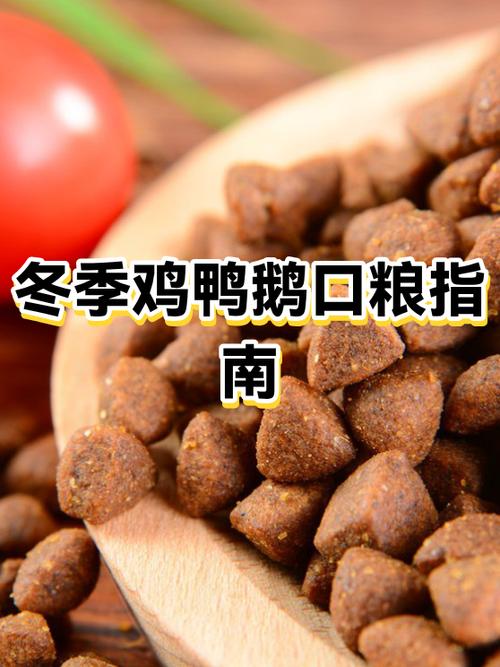 鸡鸭鹅哪种营养价值高截图