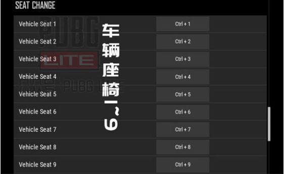 pubg国际服设置翻译图标
