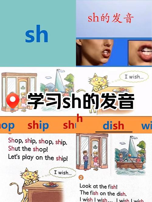 sh什么意思截图