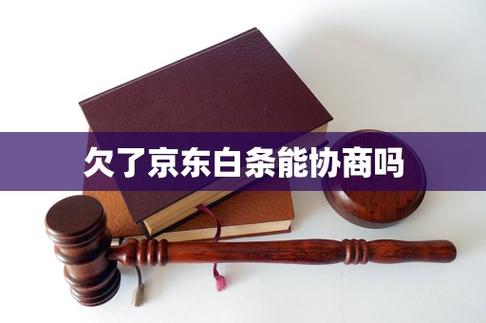 欠了京东白条能协商吗截图