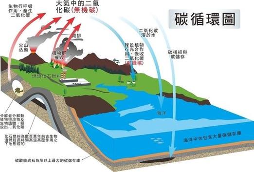 碳库图标