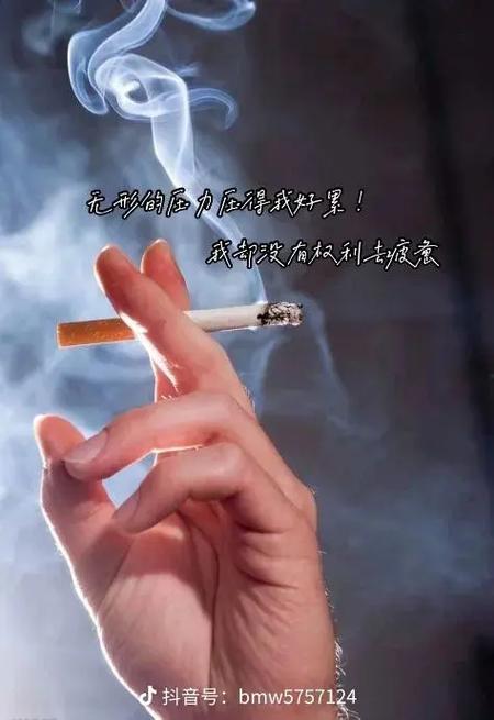 适合发抖音的图片集