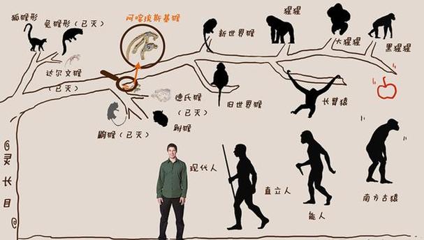 人繁衍后代的时候要做什么?图标