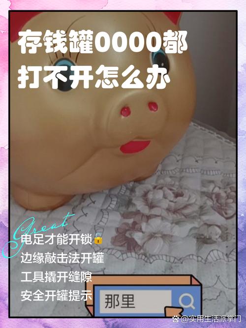存钱罐输入0000还是打不开图标