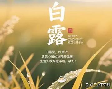 秋风白露截图