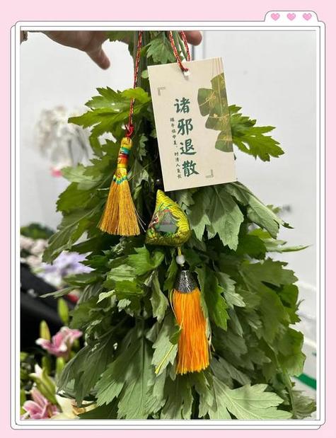 艾叶起霉怎么辨别图标