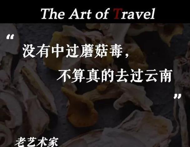 人吃蘑菇能量是单向流动吗