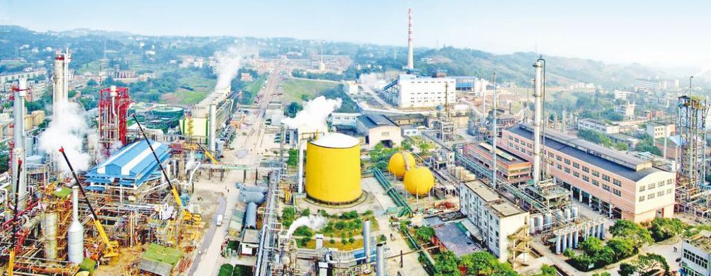 四川雷纳化工公司现状图标