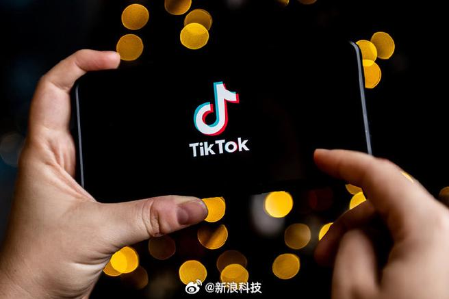 tiktok2024下载图标