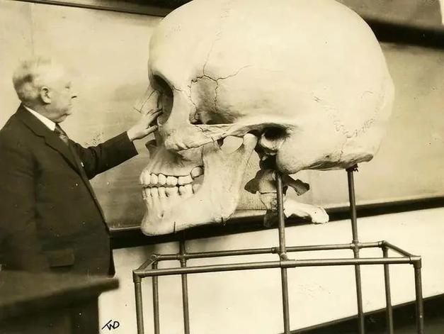 巨型头骨合成视频图标