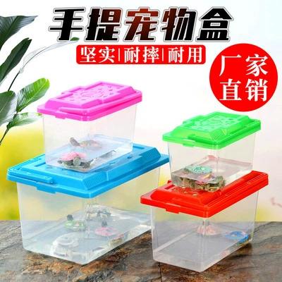 蜗牛盒子里全是小飞虫截图