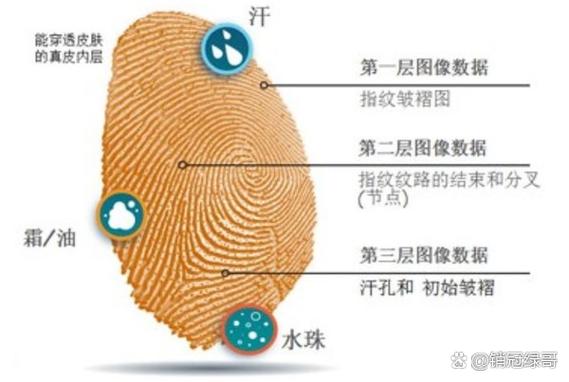包上有谁的指纹就是谁偷的吗图标