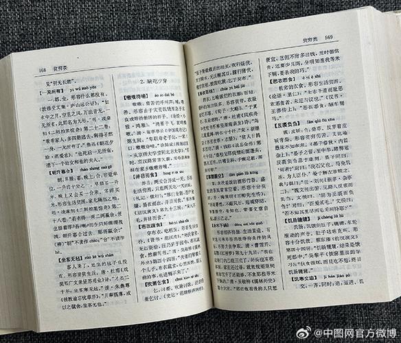 汉语成语分类大辞典截图