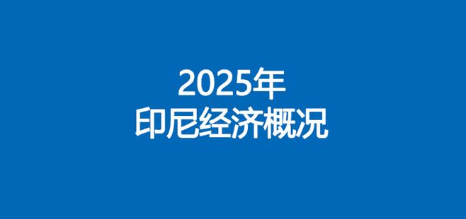 印度尼西亚经济怎么样图标